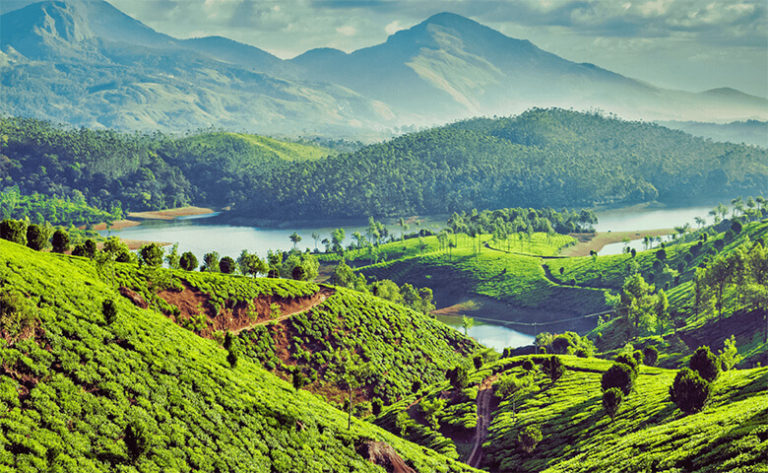 15+ Best Hill Stations to Visit in India | For Honeymoon | Top Tourist ...